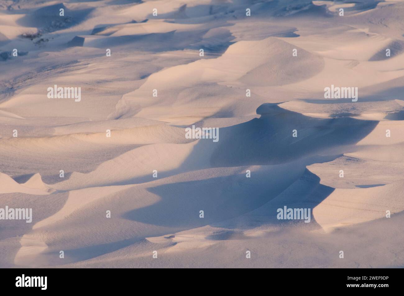 Small drifts of snow made hard by blizzard winds, 1002 coastal plain of ...