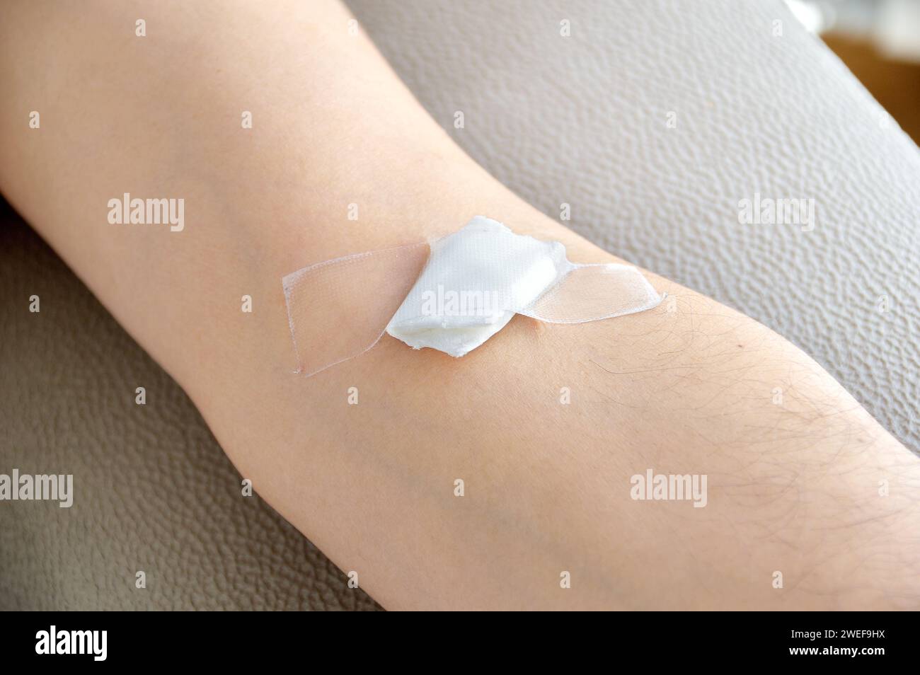 Arm of a man with a bandage to cover the wound of the blood extraction ...