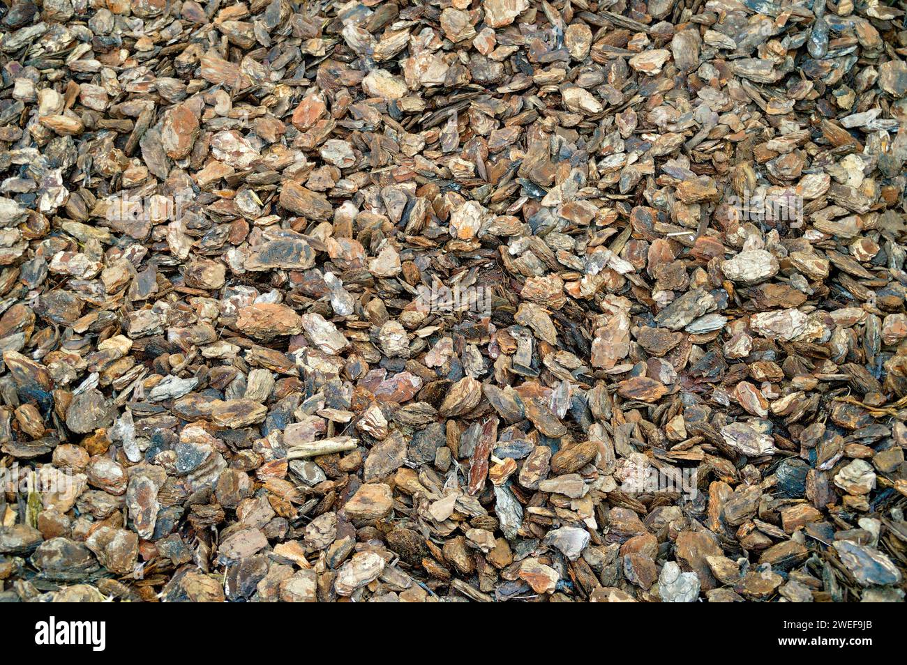 Thermal insulating tree bark used as insulation in a building Stock ...