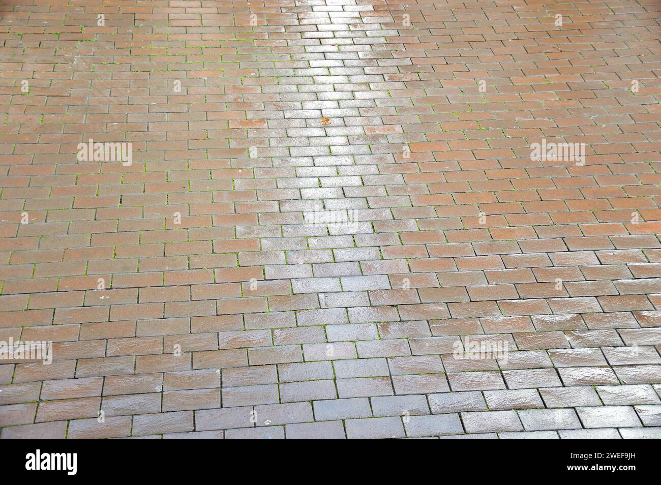 Close-up of humity on the floor of street. Wet floor from rainy .Danger ... Close-up of humity on the floor of street. Wet floor from rainy .Danger ...