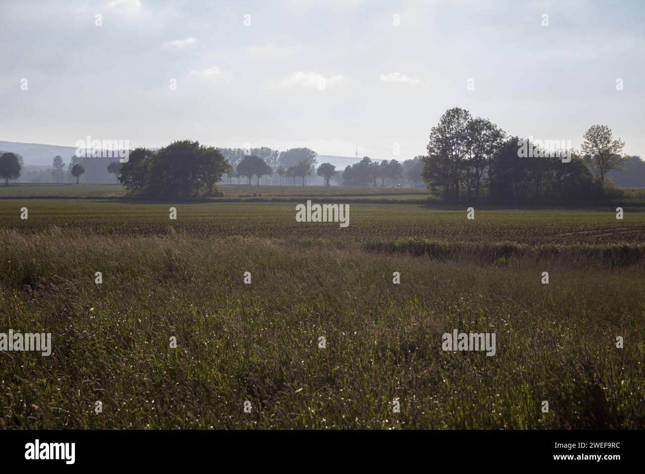 Fields and Meadows Stock Photo - Alamy