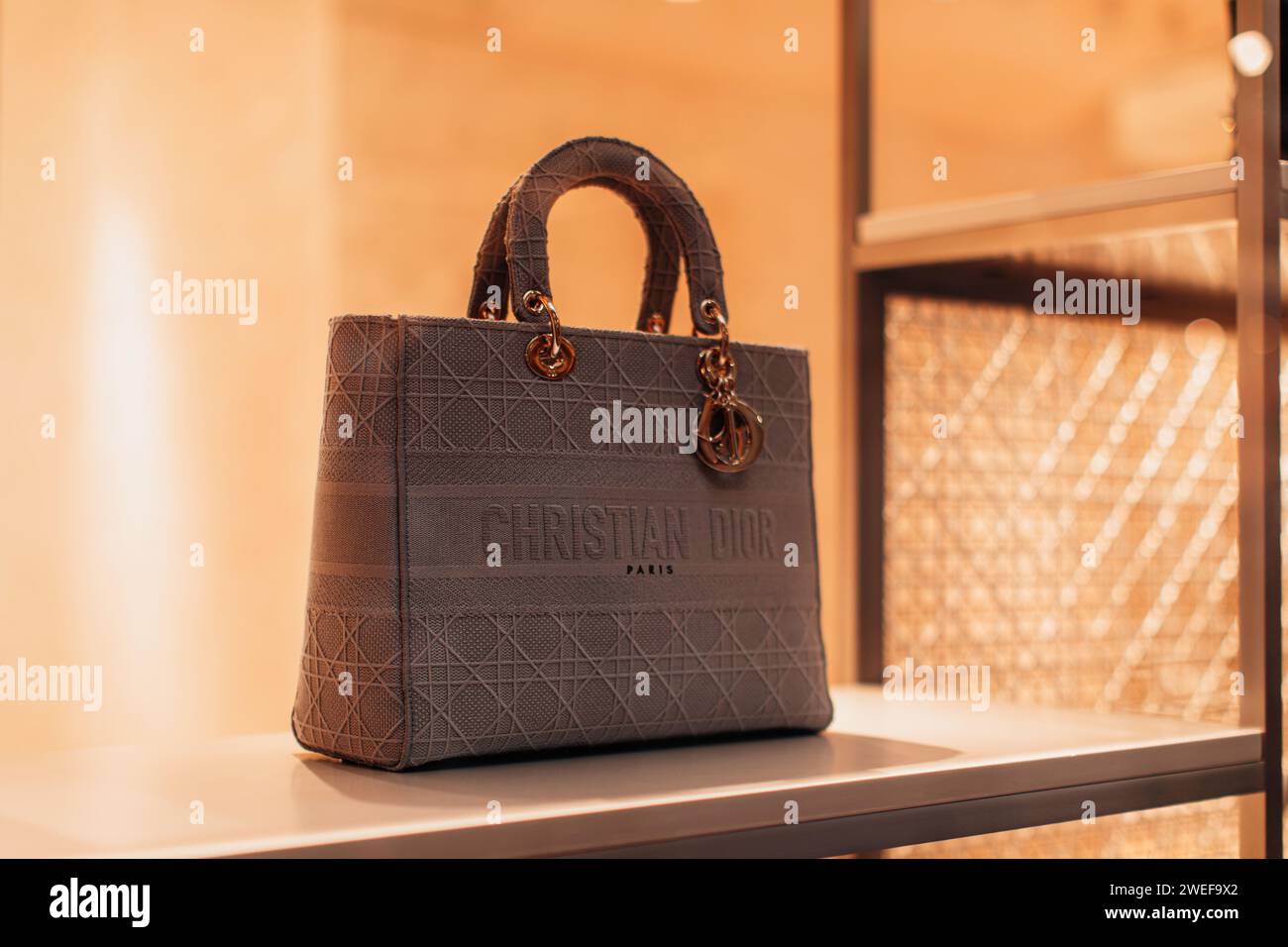 Gray Dior handbags with golden logotype. Christian Dior is a French ...