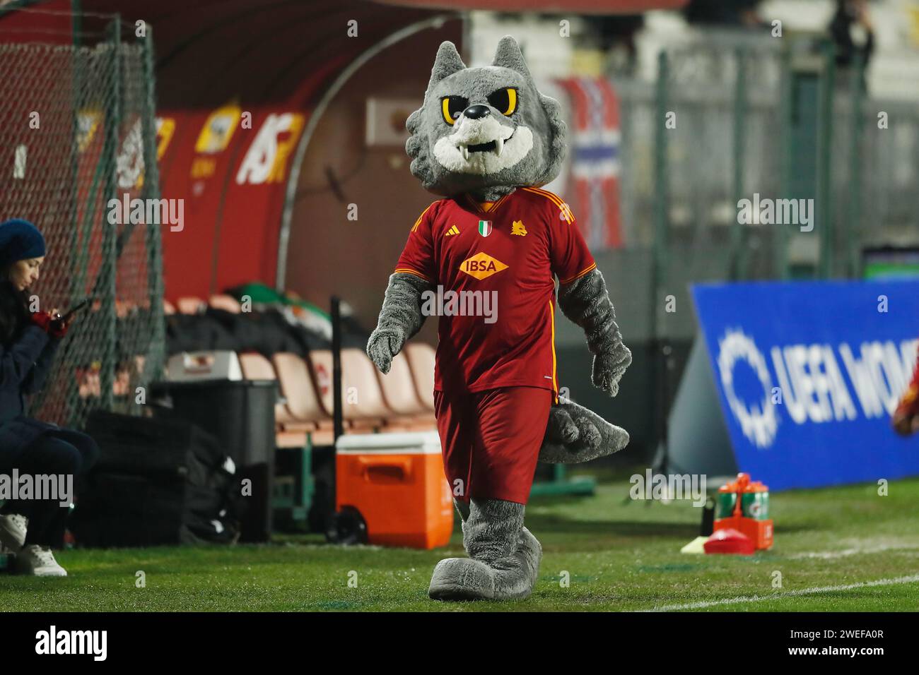 Romelo hi-res stock photography and images - Alamy
