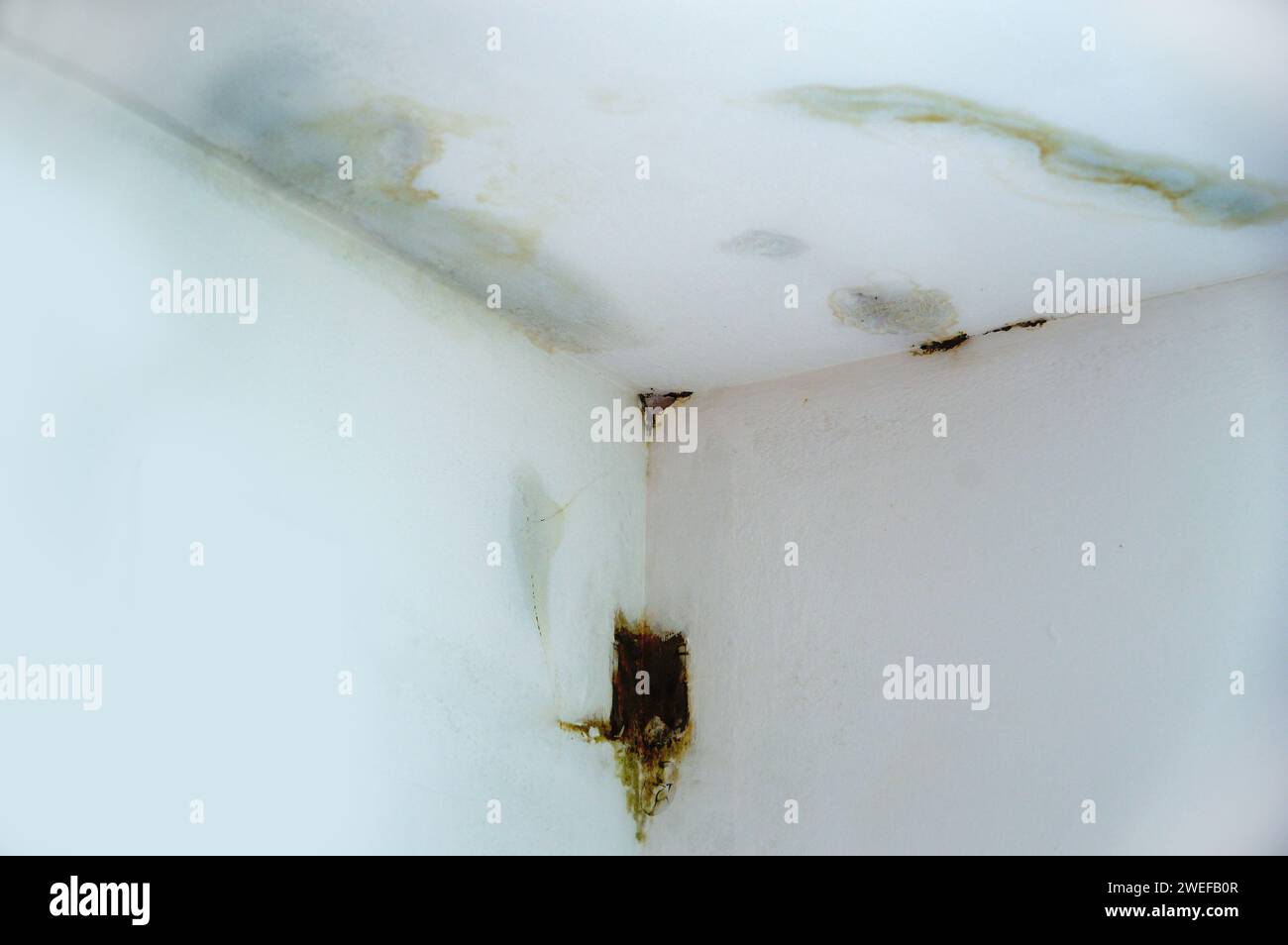 Damage caused by water leakage on a wall and ceiling Stock Photo - Alamy