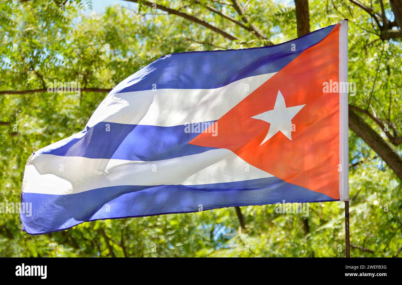 Shot of the cuban flag blowing in the wind in the park Stock Photo - Alamy