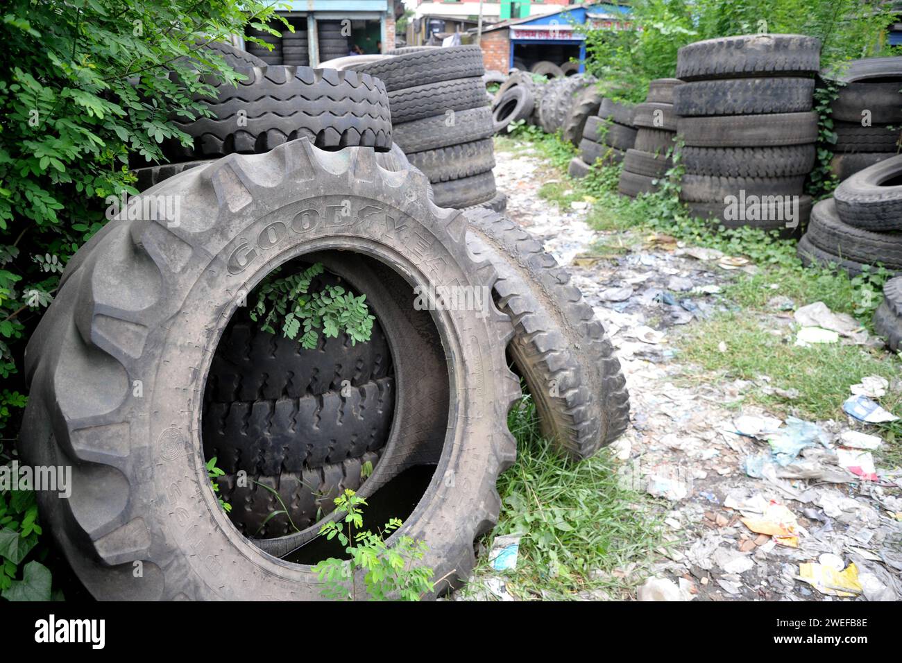 Old tire-tubes are collected from different parts of the capital. From ...