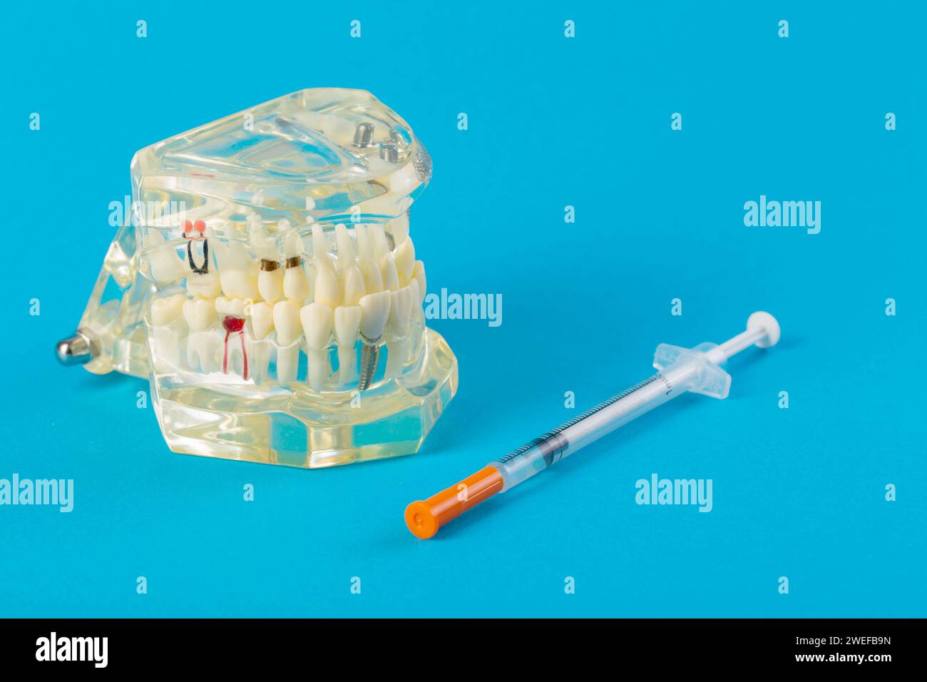 A syringe with anesthesia on a blue background next to a mock-up of a ...