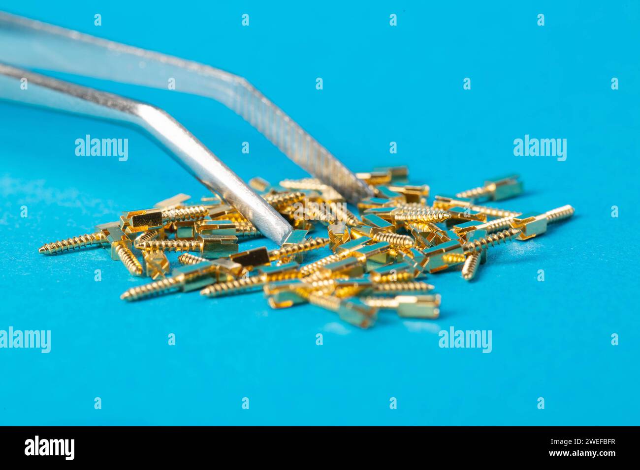 Metal dental pins on a blue background in tweezers in dentistry ...