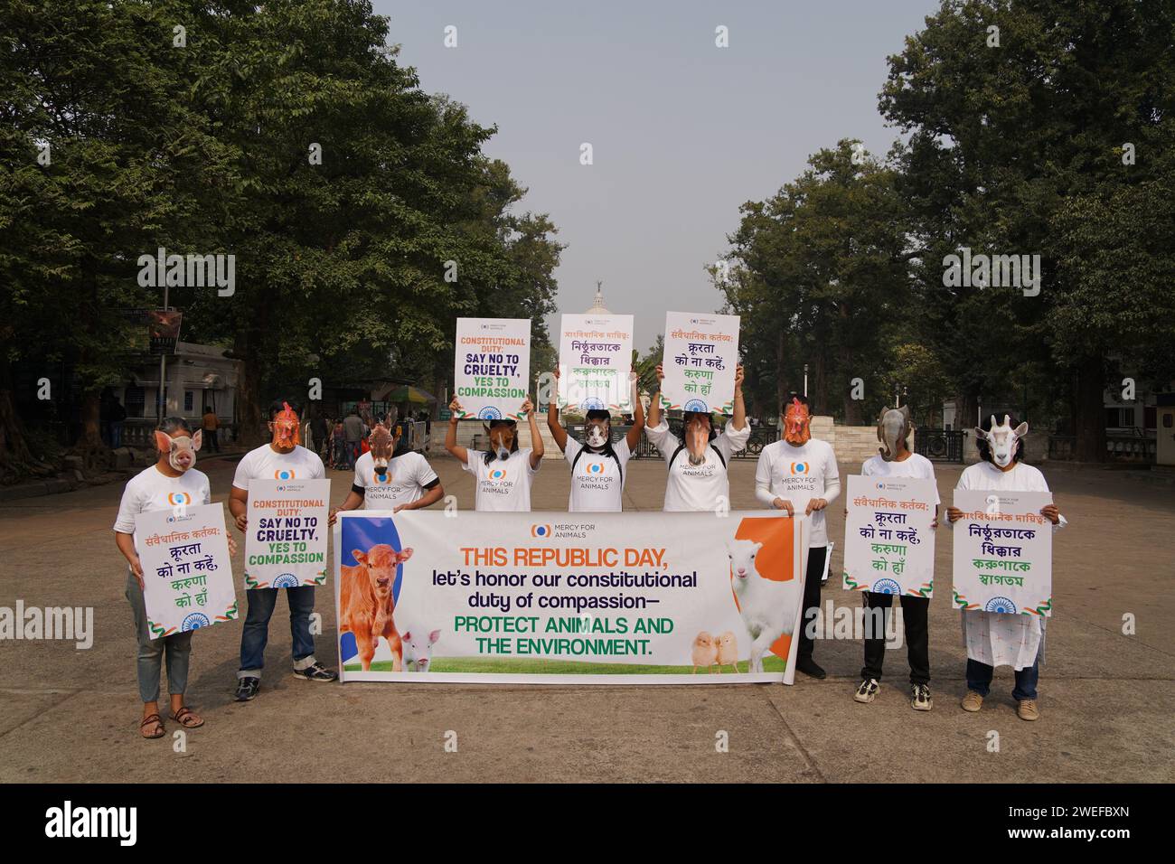 In animal masks hi-res stock photography and images - Alamy