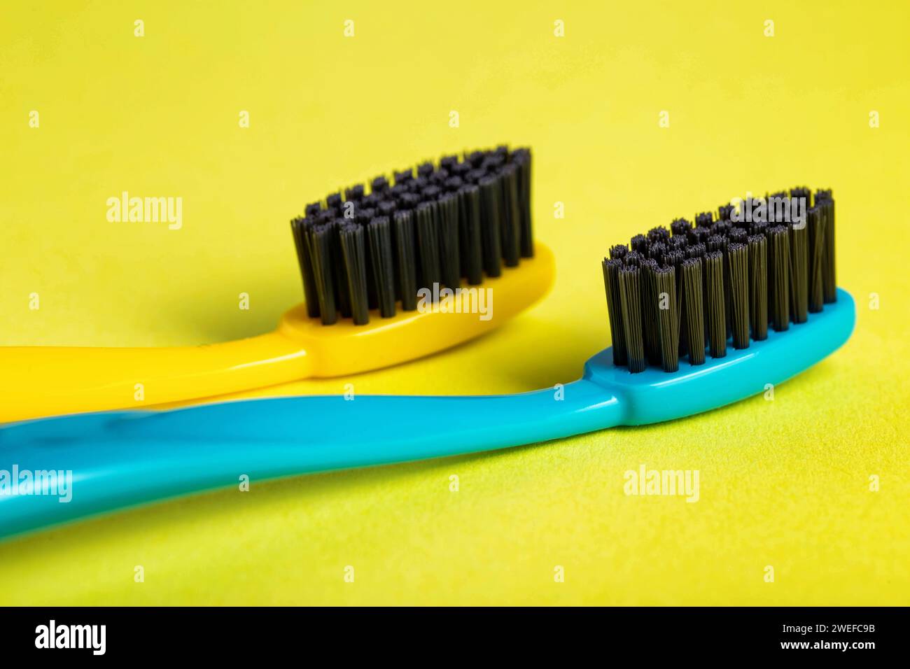 Bristle hardness hi-res stock photography and images - Alamy