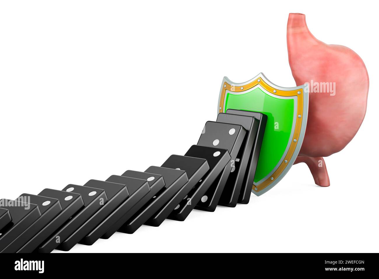 Shield before human stomach, stop domino effect. Protect of stomach ...