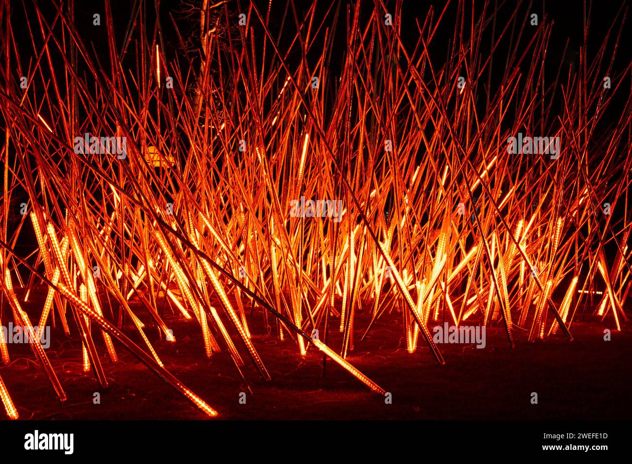 Fire art installation by Vendel & De Wolf at Canary Wharf Winter Lights ...