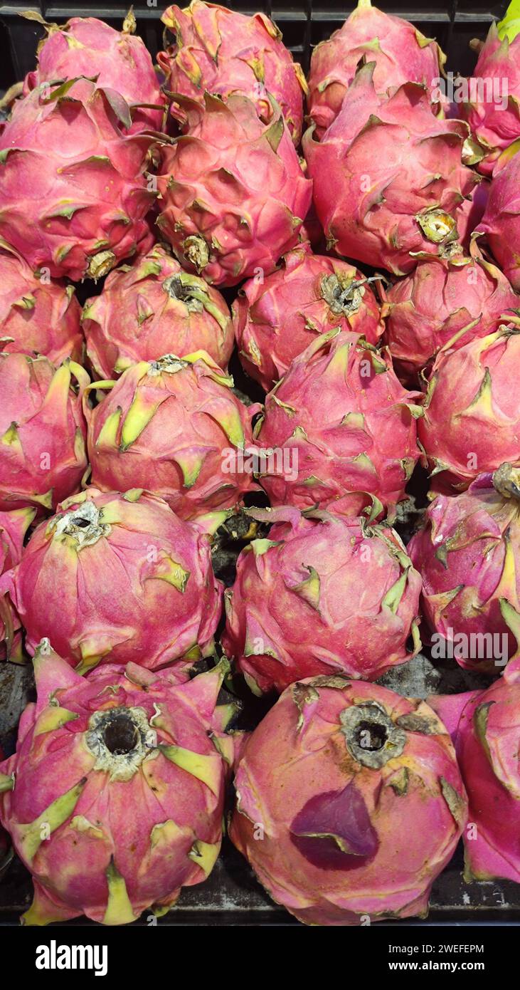 A colorful and vibrant display of fresh Dragonfruit from farm raw ...