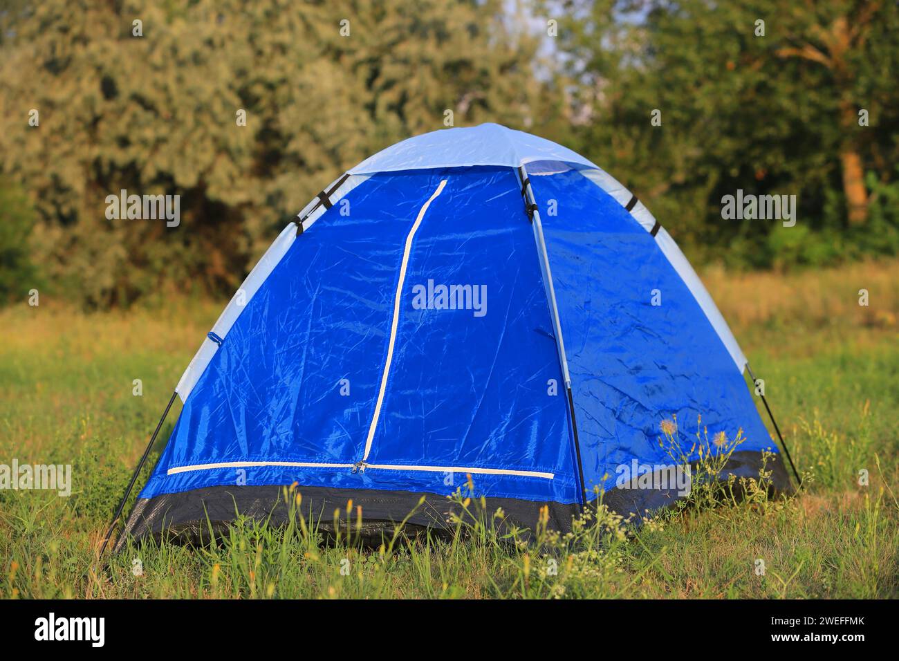 nice blue tourist tent on grassland Stock Photo - Alamy