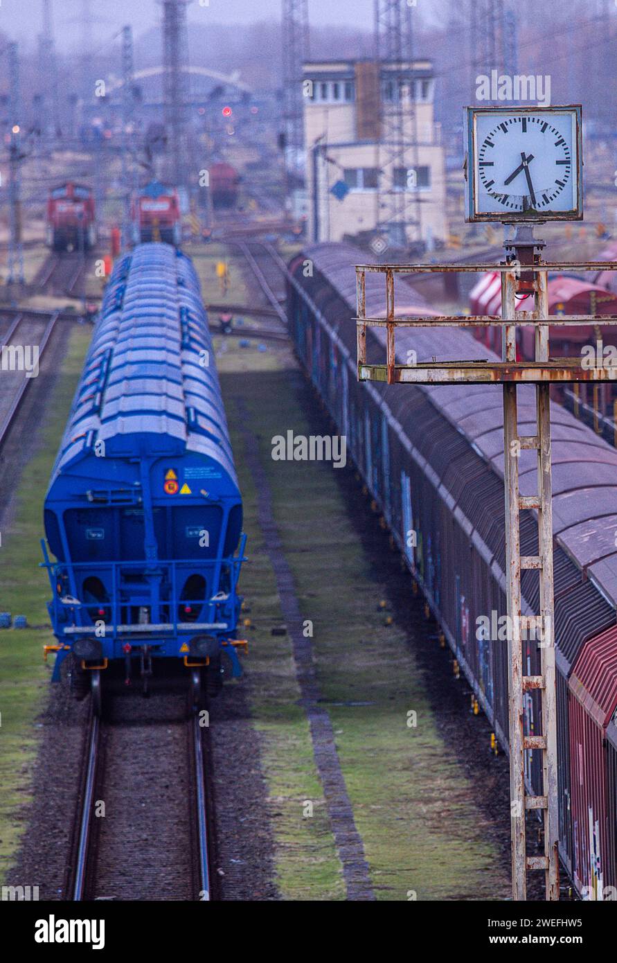 Wismar, Germany. 25th Jan, 2024. Freight wagons are parked in the ...
