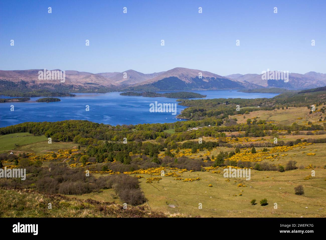Majestic view from Connic hill over Loch Lomond Stock Photo - Alamy