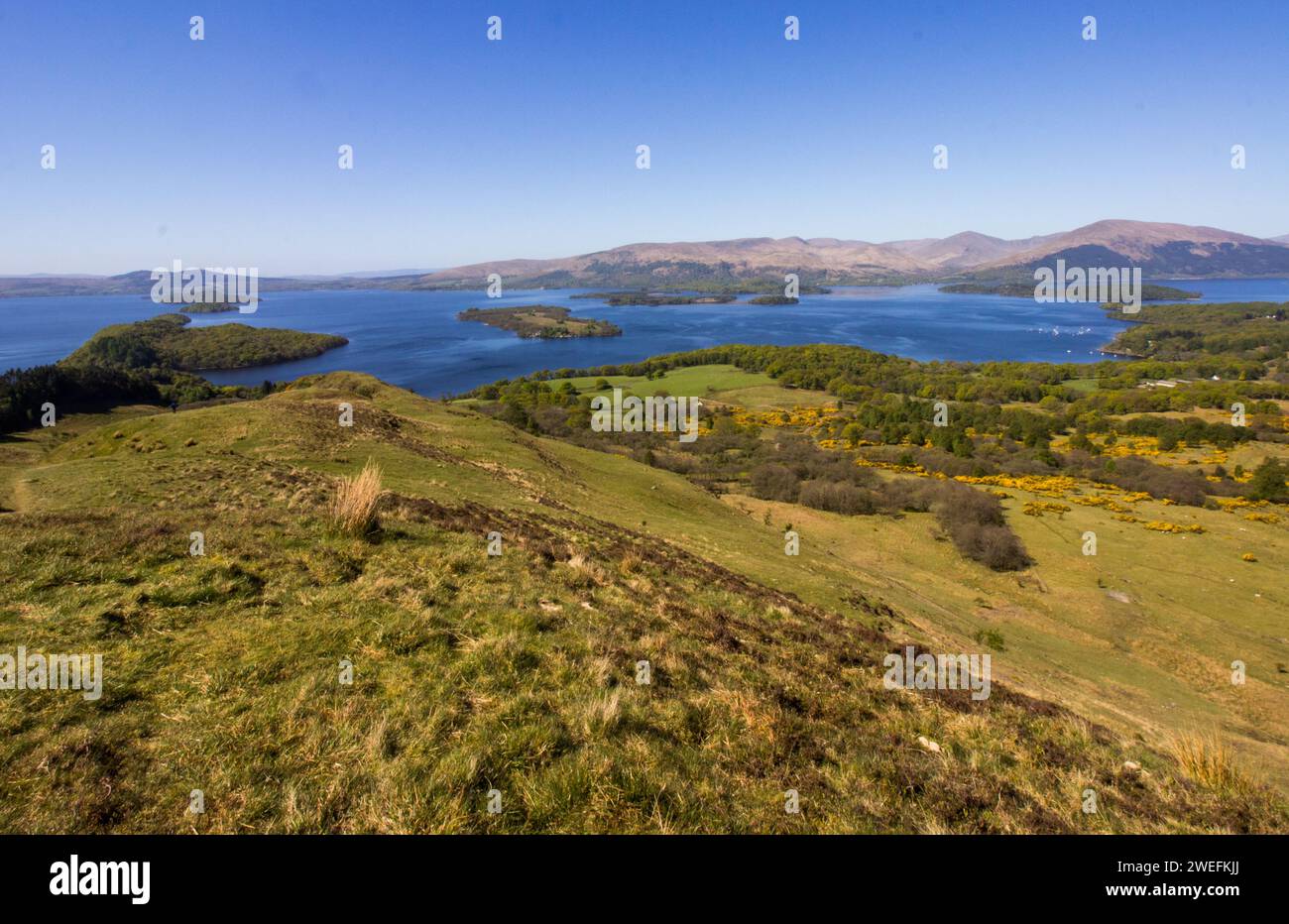 Loch Lomond from Conic Hill on a clear, sunny day Stock Photo - Alamy