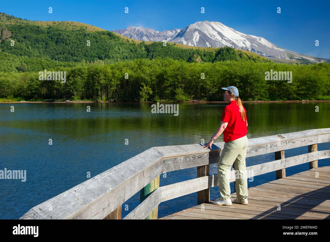Coldwater Lake with Mt St Helens, Spirit Lake Memorial Highway, Mt St ...