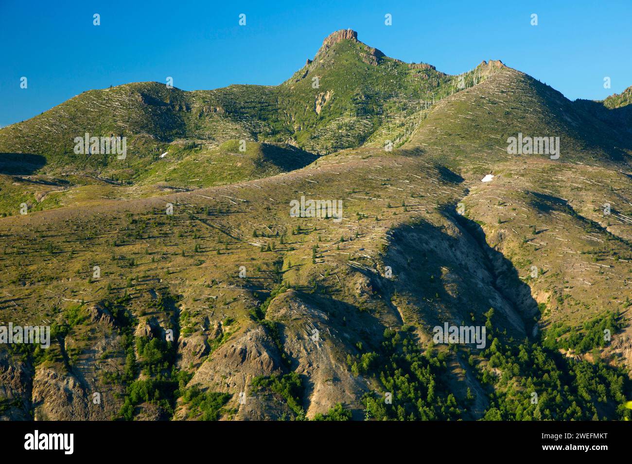 Coldwater Peak from Johnston Ridge, Spirit Lake Memorial Highway, Mt St ...