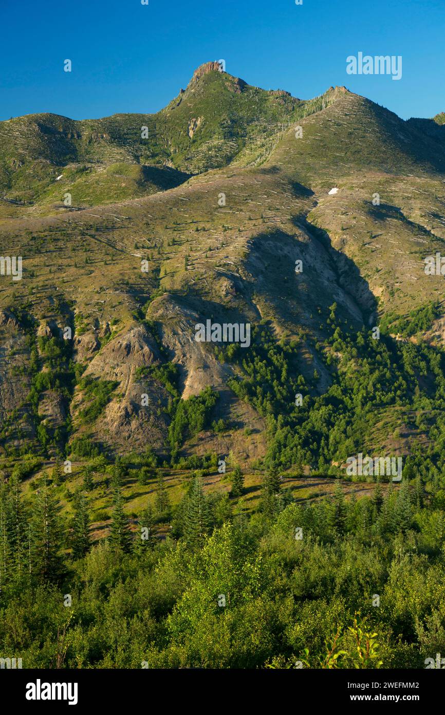 Coldwater Peak from Johnston Ridge, Spirit Lake Memorial Highway, Mt St ...