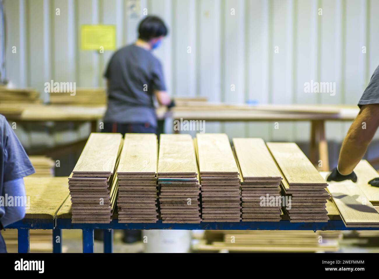 Furniture factory workers hi-res stock photography and images - Alamy