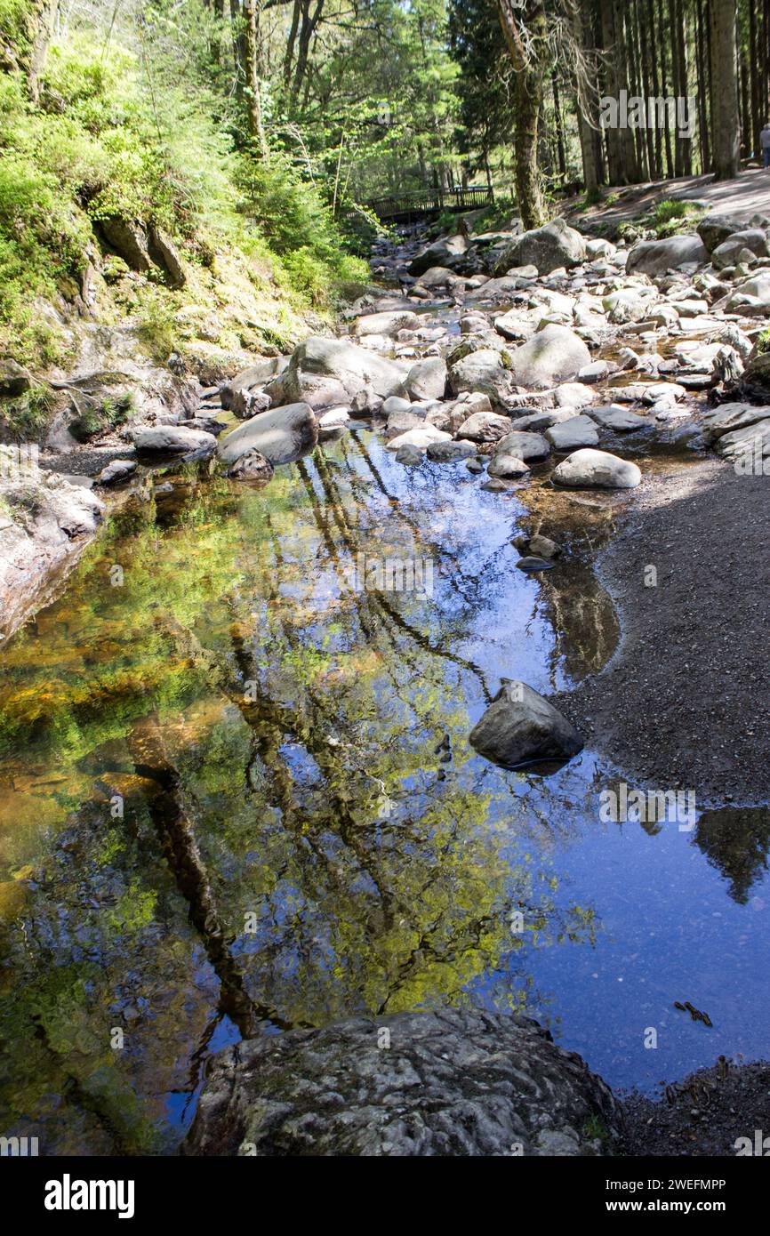 The surrounding trees and clear blue sky, reflecting in a mountain ...