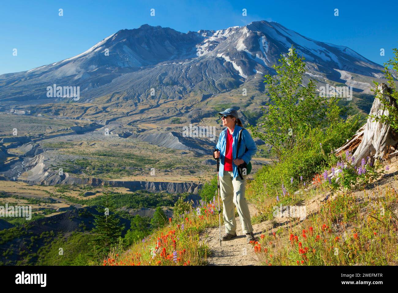 Boundary Trail to Mt St Helens, Mt St Helens National Volcanic Monument ...