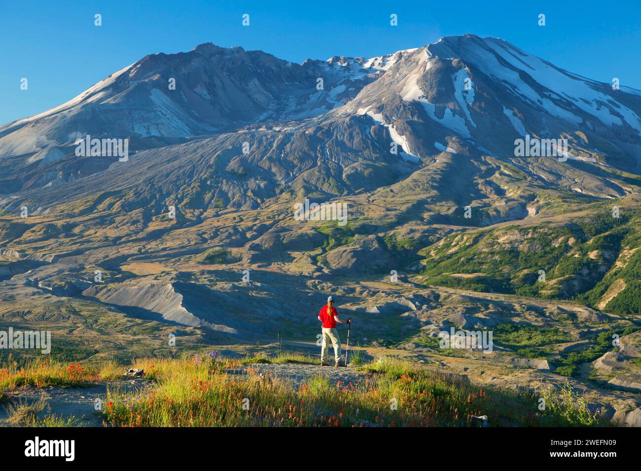 Boundary Trail to Mt St Helens, Mt St Helens National Volcanic Monument ...