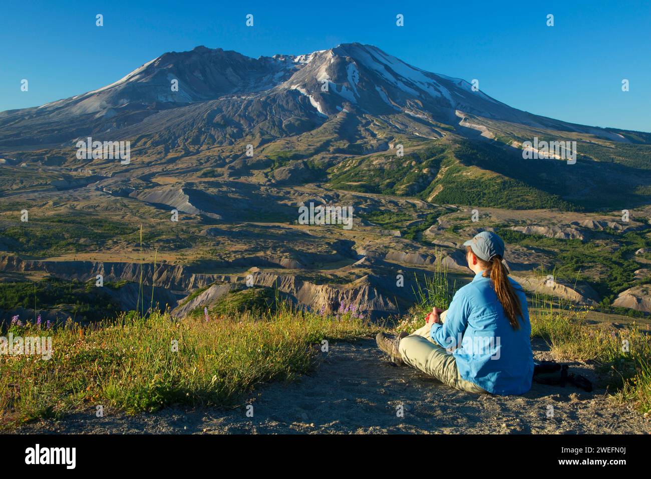 Boundary Trail to Mt St Helens, Mt St Helens National Volcanic Monument ...