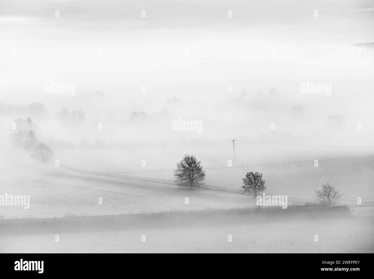 Mist revealing trees and fields in the British countryside Stock Photo ...