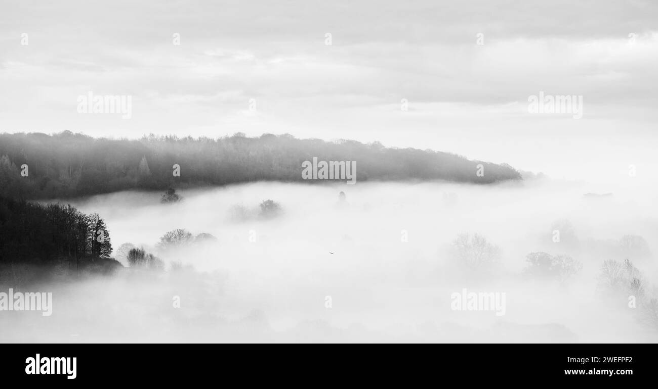 Mist revealing trees and fields in the British countryside Stock Photo ...