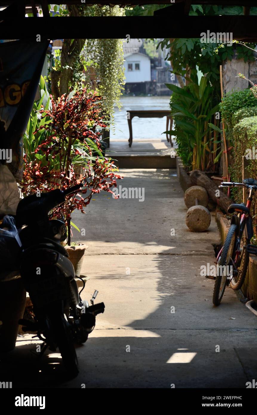 Pak kret hi-res stock photography and images - Alamy