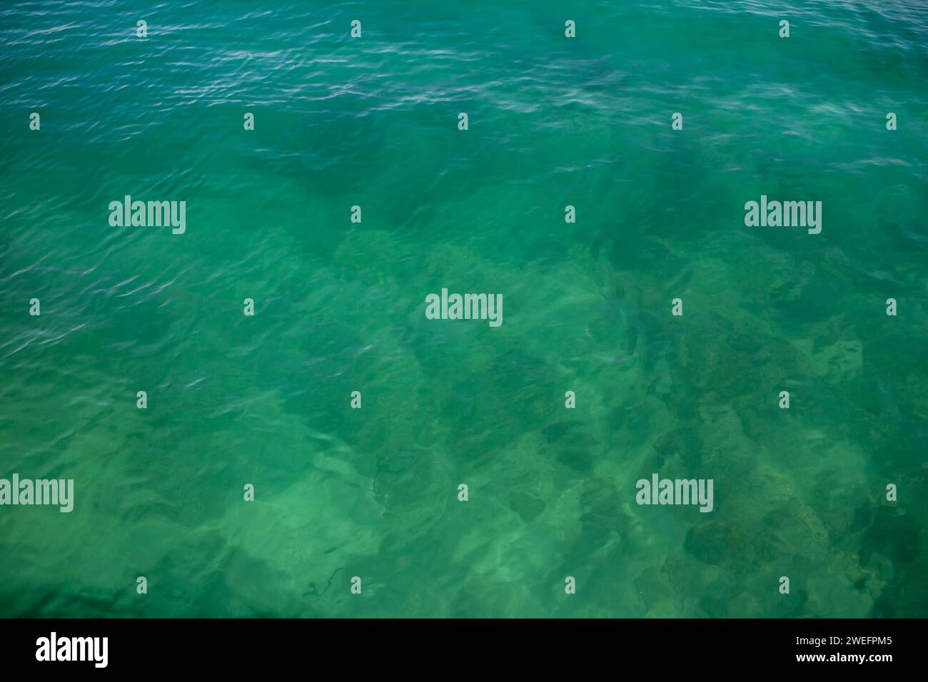 transparent sea water full frame texture Stock Photo - Alamy