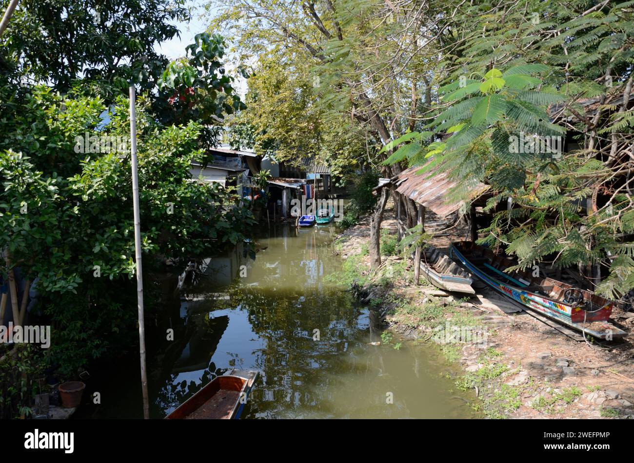 Pak kret hi-res stock photography and images - Alamy