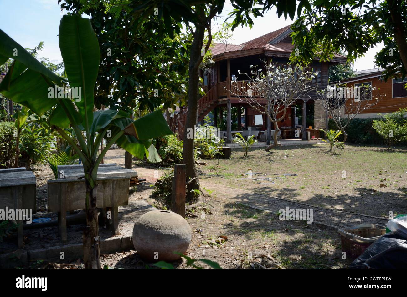 Pak kret hi-res stock photography and images - Alamy