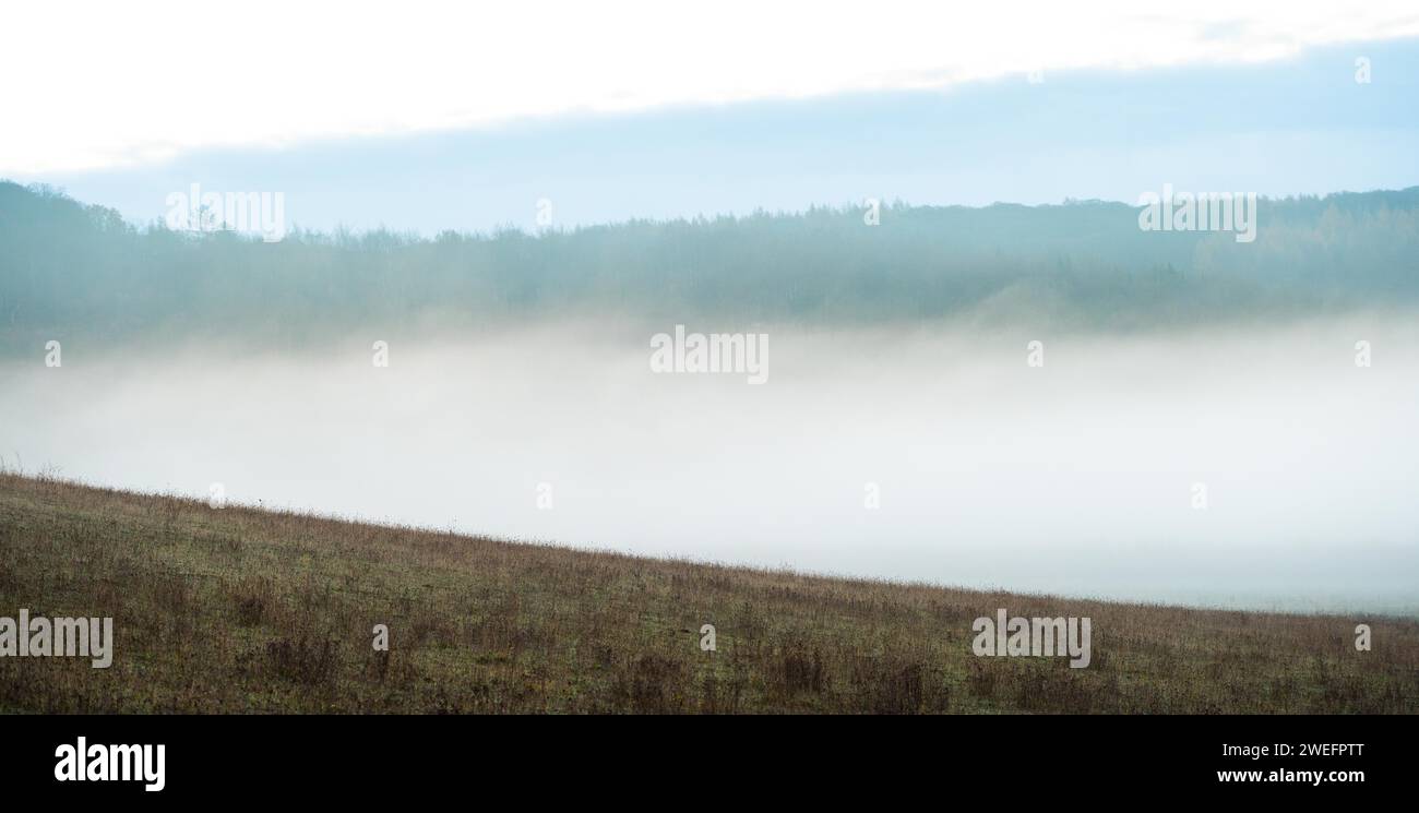 Trees emerge from a mist hanging over a valley Stock Photo - Alamy