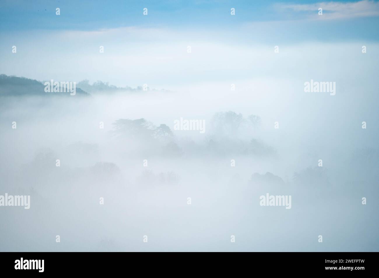 Trees emerge from a mist hanging over a valley Stock Photo - Alamy