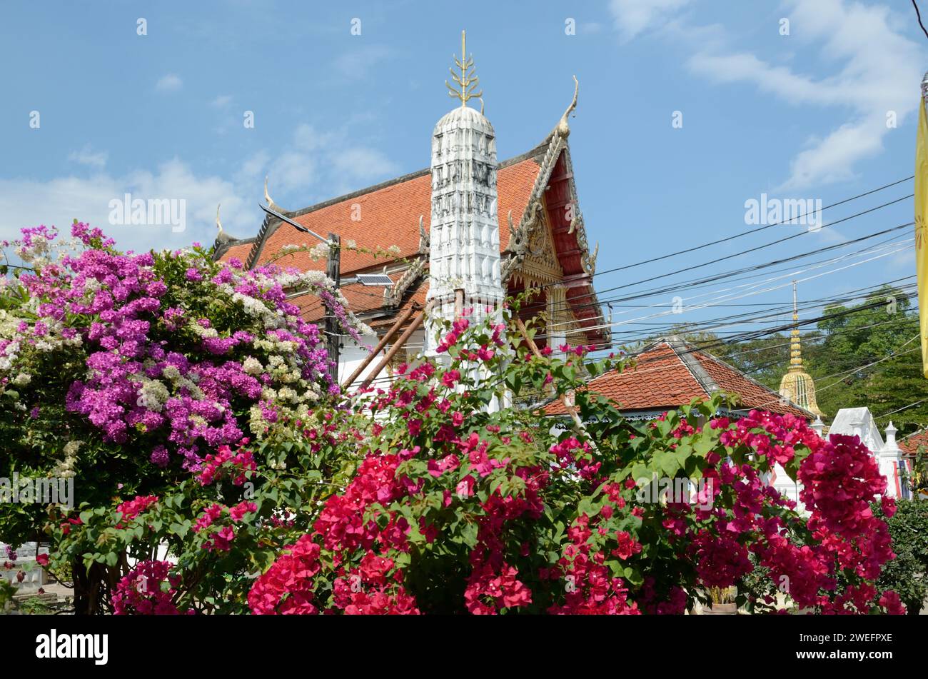 Pak kret city hi-res stock photography and images - Alamy