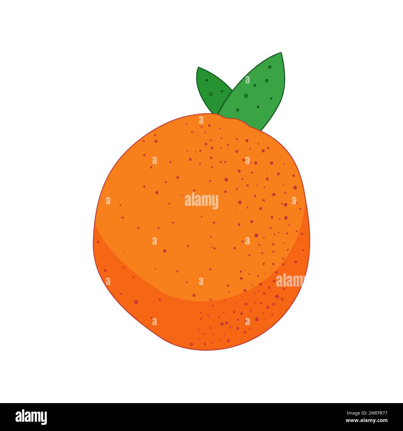 Hand Drawn Orange With Green Leaves Vector Illustration Stock Vector ...