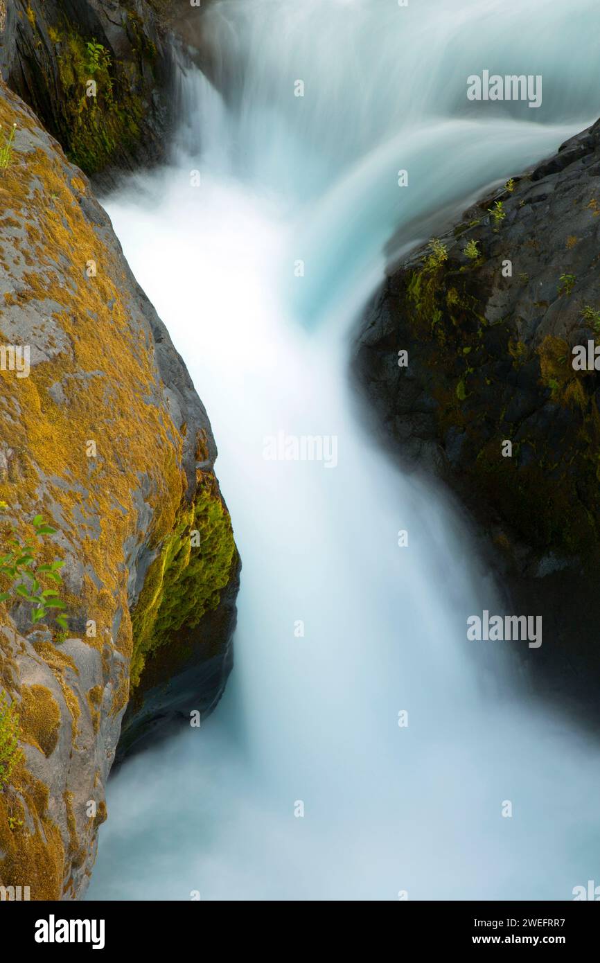 Lava Canyon along Lava Canyon Trail, Mt St Helens National Volcanic ...