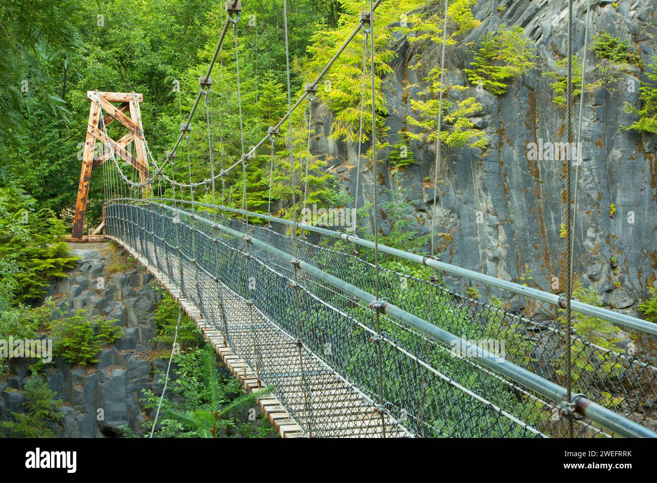 Swinging bridge on Lava Canyon Trail, Mt St Helens National Volcanic ...
