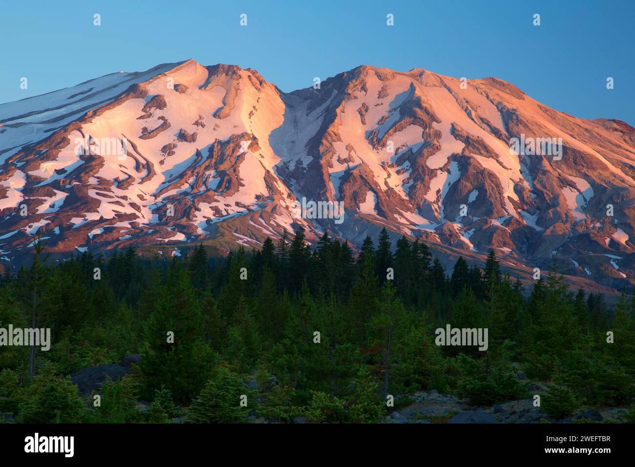 Mt St Helens from Lahar, Mt St Helens National Volcanic Monument ...