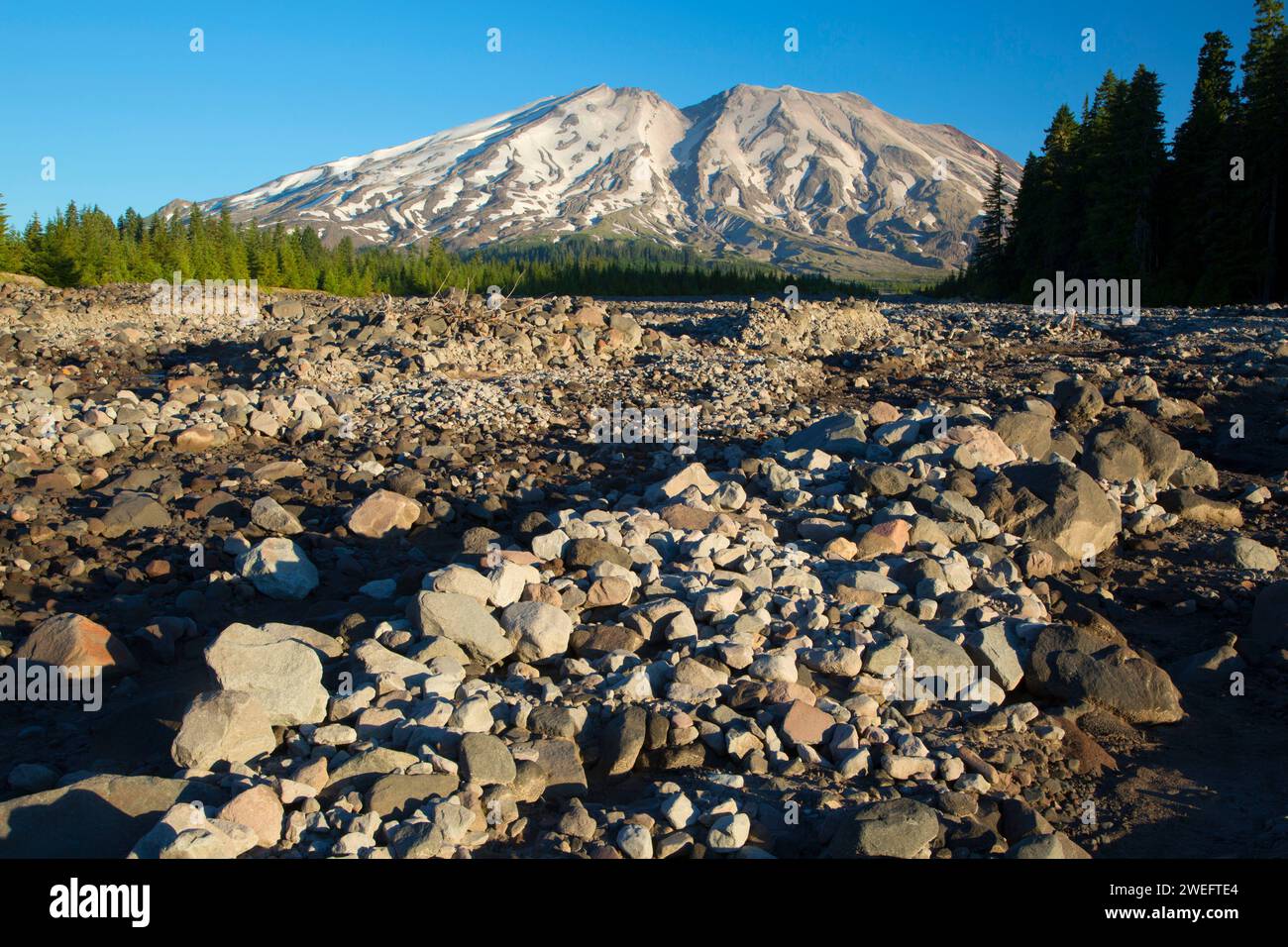 Mt St Helens from Stratigraphy Point, Mt St Helens National Volcanic ...