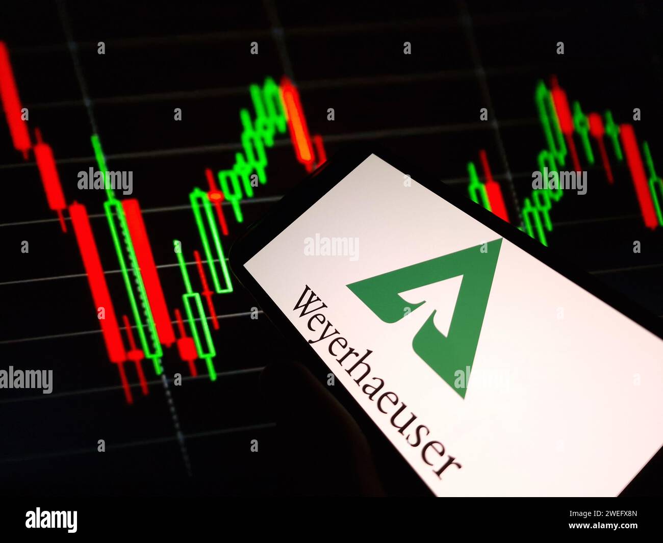 Konskie, Poland - January 24, 2024: Weyerhaeuser company logo displayed ...