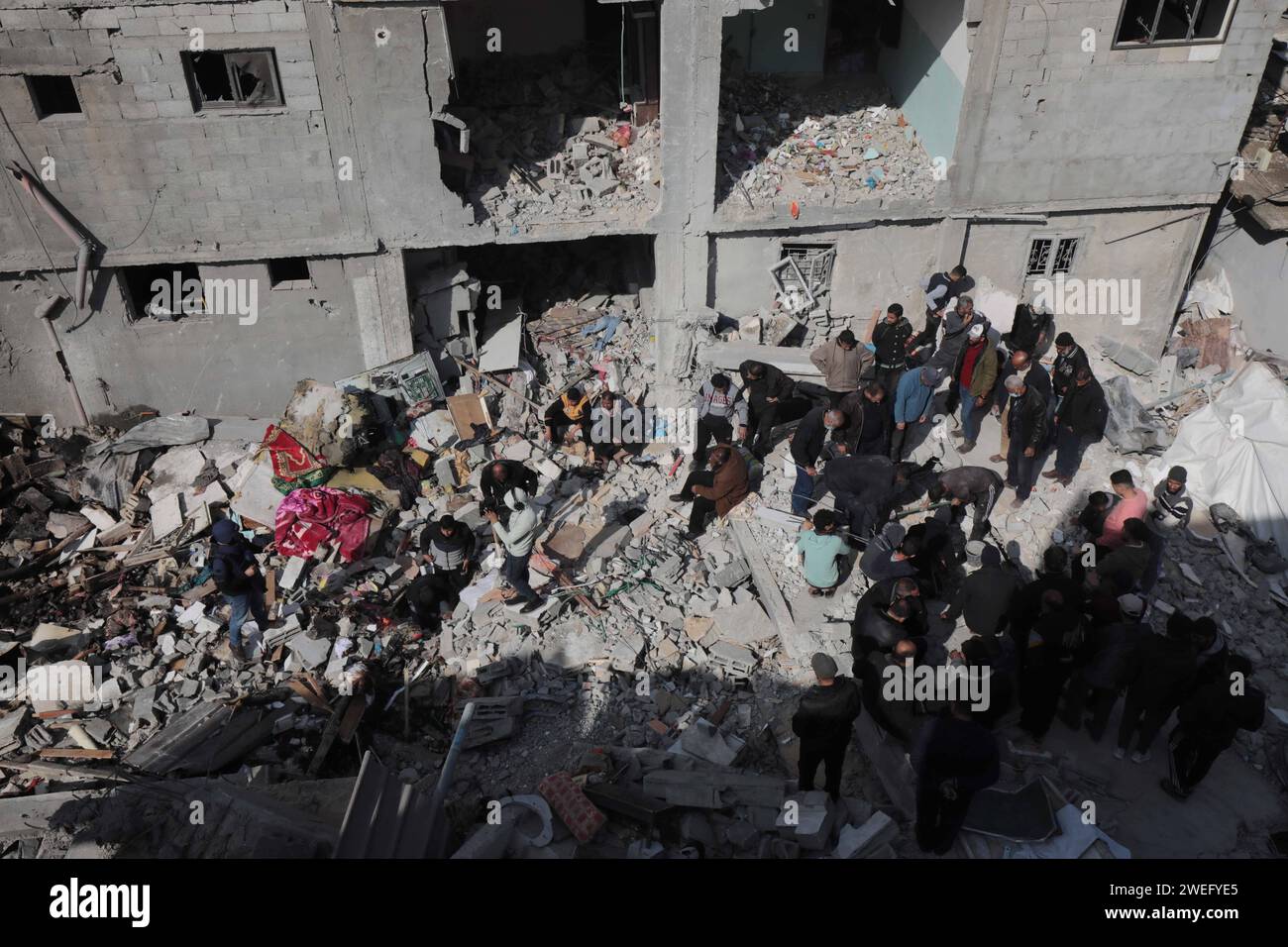 250124 hi-res stock photography and images - Alamy