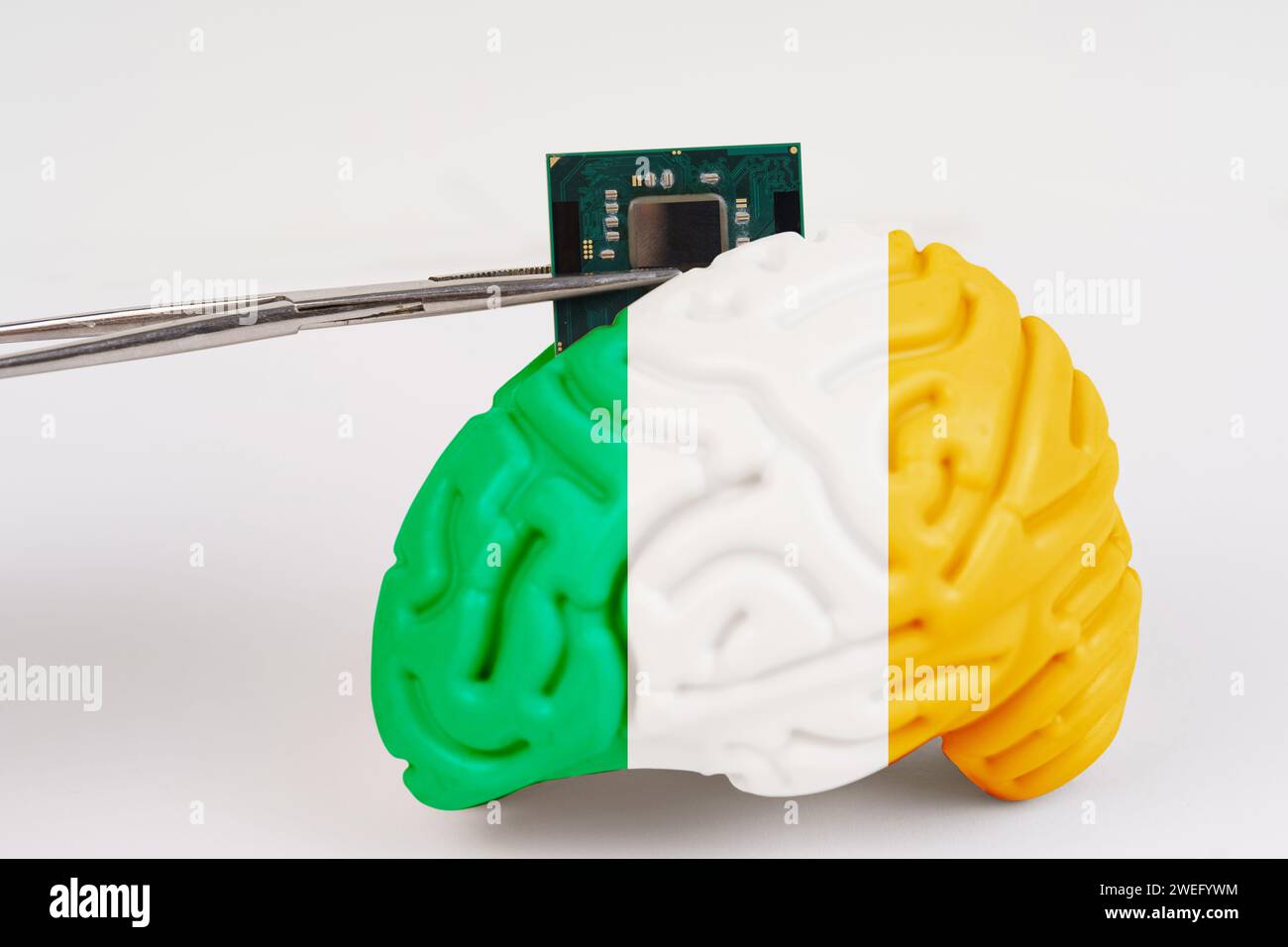 On a white background, a model of the brain with a picture of a flag ...