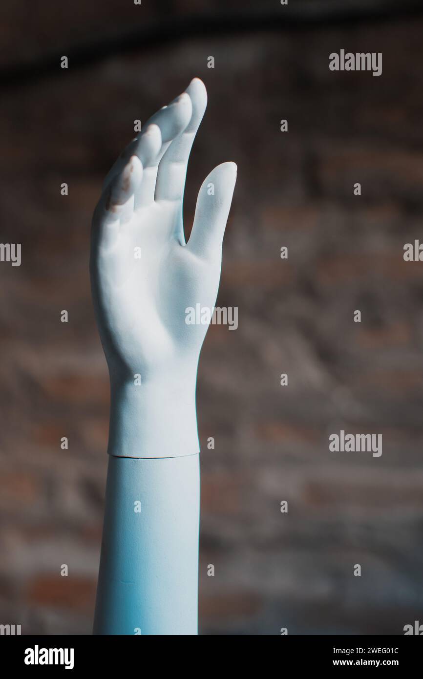 display model mannequin arm Stock Photo - Alamy