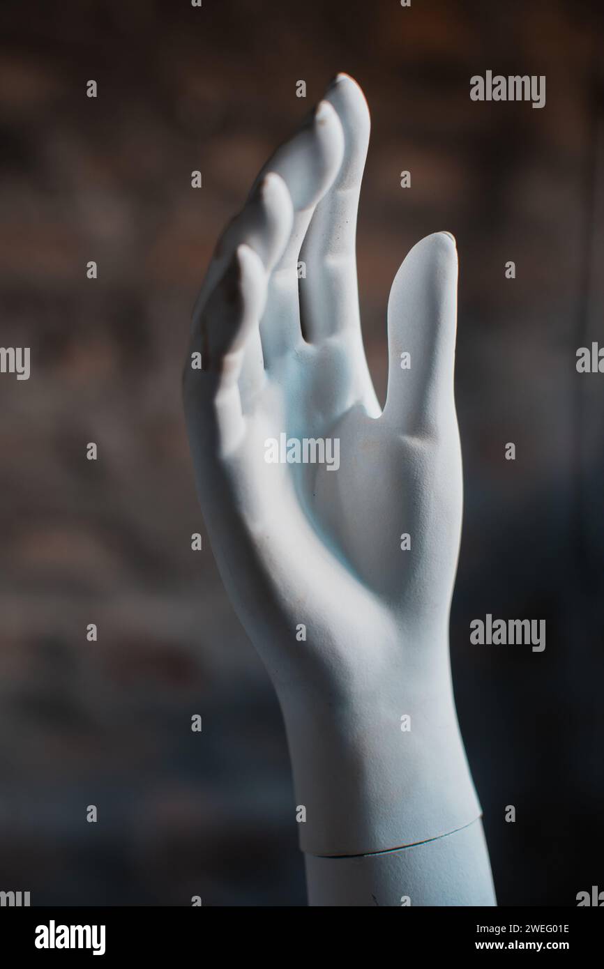 white display model mannequin hand Stock Photo - Alamy