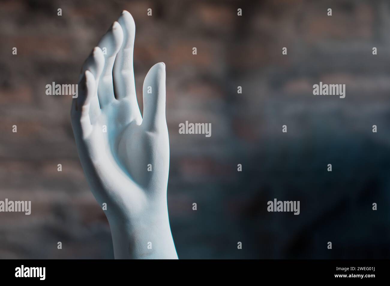 display model mannequin arm Stock Photo - Alamy