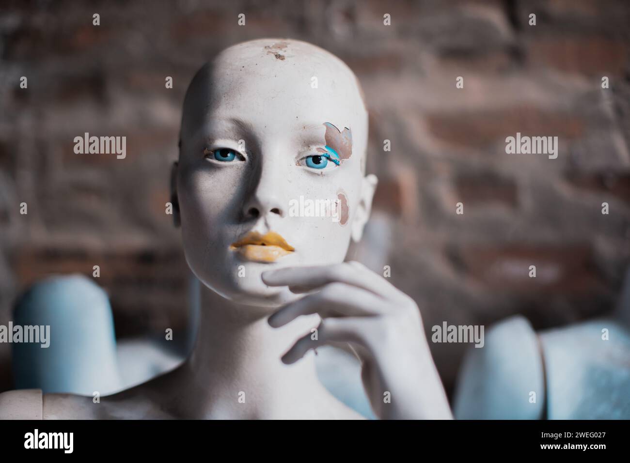 Female display hi-res stock photography and images - Alamy